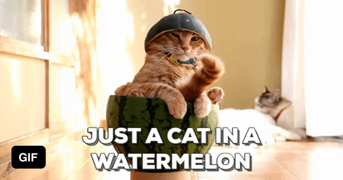 Majestic AF!! BTW, almost perfect loop - 9GAG