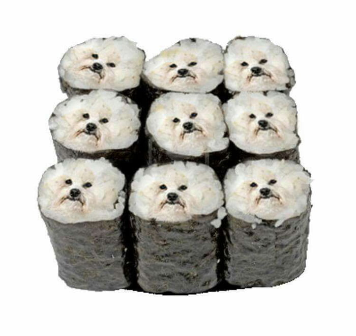 Yeah, I don't want doge sushi - 9GAG