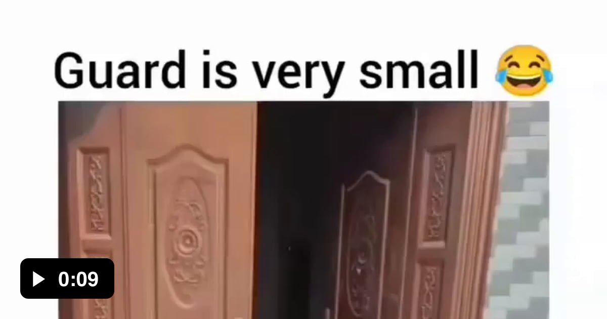 The tiny gaurd. - 9GAG