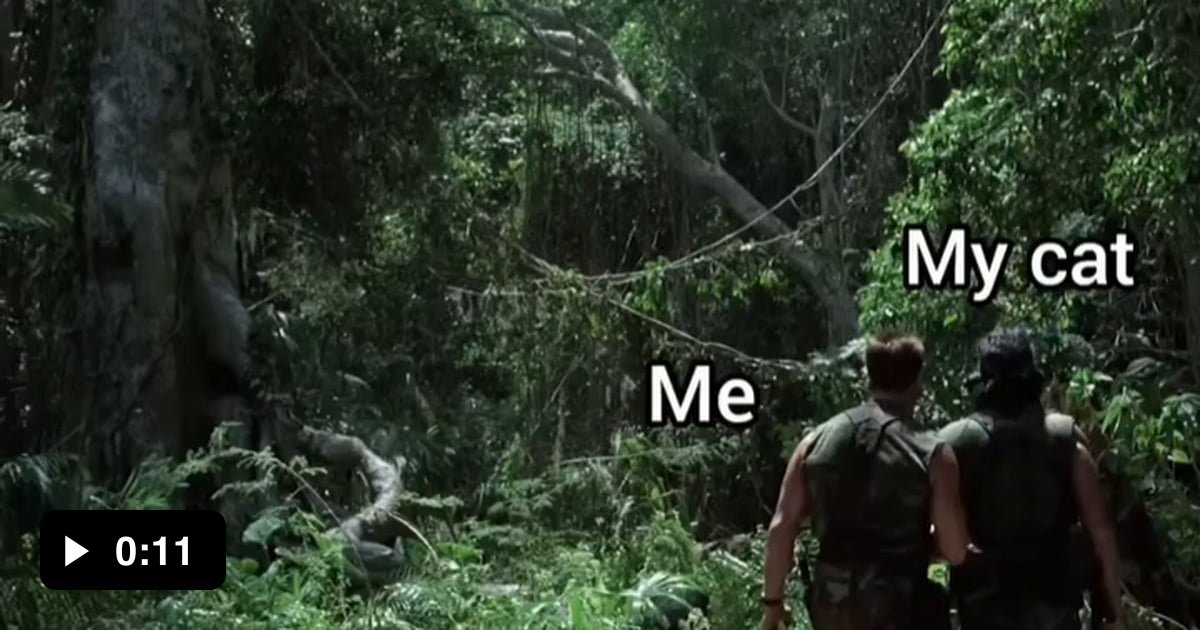 Cat got spooked of nothing. Now i get spooked too - 9GAG