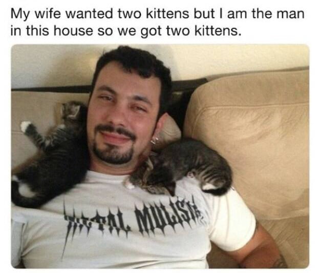 I am the man in this house - 9GAG