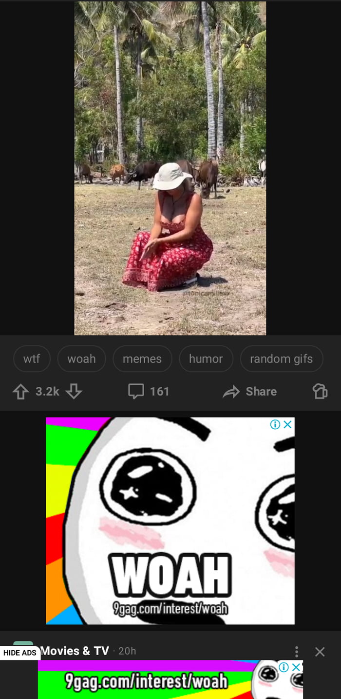 Sometimes the ads match just right - 9GAG