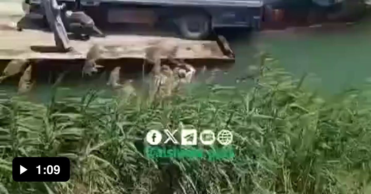 Arab mothership fail - 9GAG