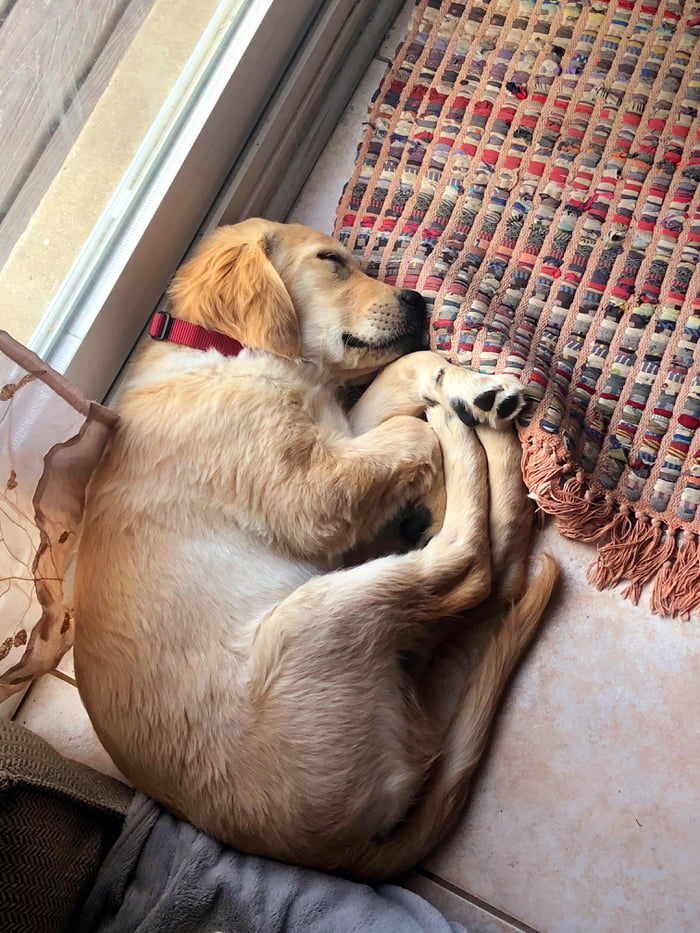 Tired sunday Noon naps ️ - 9GAG