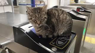 Subway security guard - 9GAG