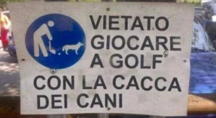 Playing golf with dog poop is prohibited - 9GAG