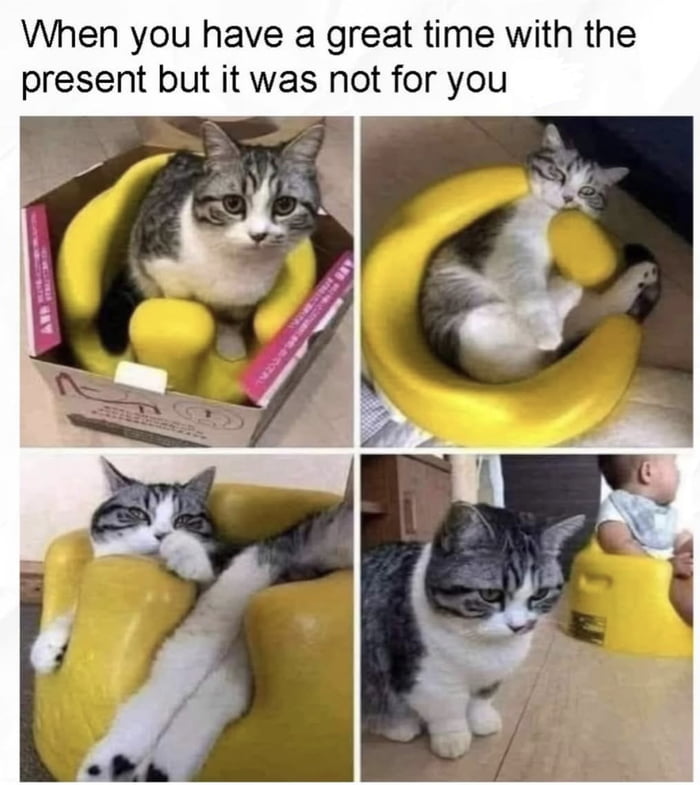 *Sad cat noises* - 9GAG