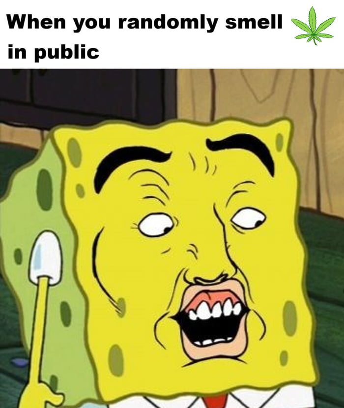 RIP Buttercup - 9GAG