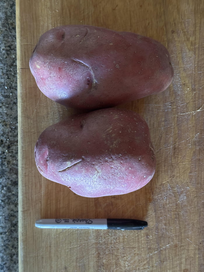 Of red potatos. - 9GAG