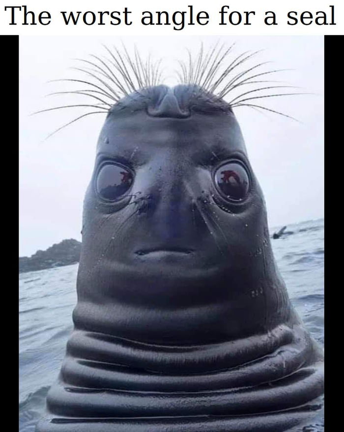 The Worst Angle - 9GAG