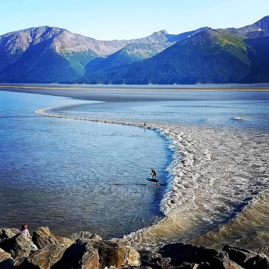 Surfing the tidal bore on the Turnagain Arm of the Cook Inlet near ...