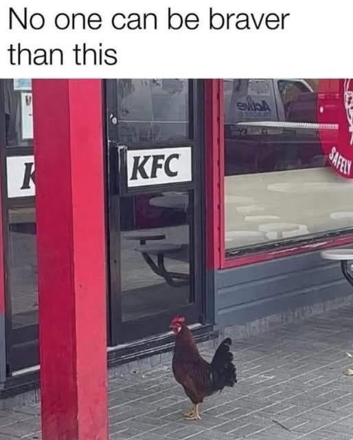 Putting up a Brave Front - 9GAG