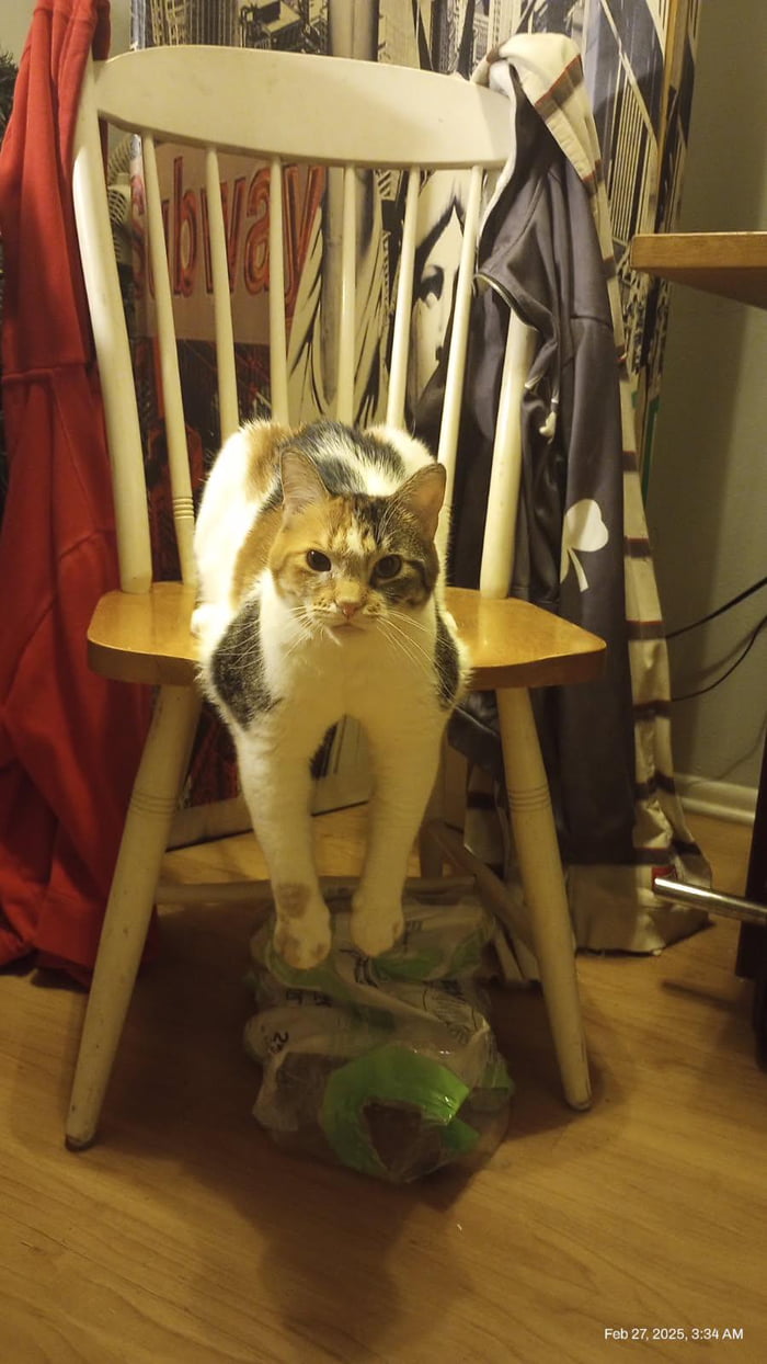 Exceptional pose - 9GAG