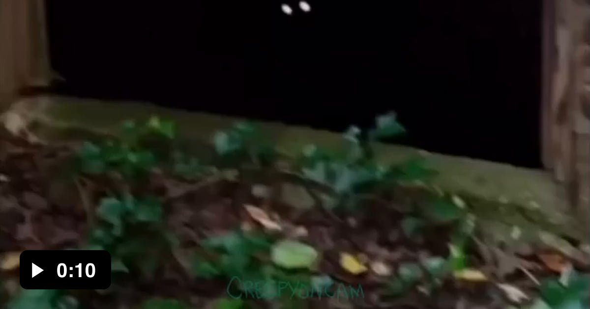 Here kitty kitty - 9GAG