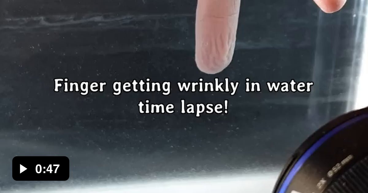 Fingers Getting pruney time-lapse - 9GAG