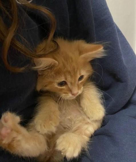 He is so tired - 9GAG