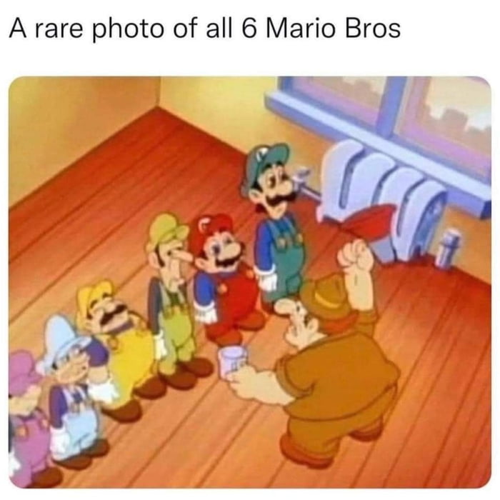 We have: Mario, Luigi, Wario, Waluigi, Eario and Eiluigi - 9GAG