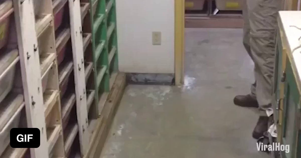 Just a typical tuesday at the nope rope factory - 9GAG