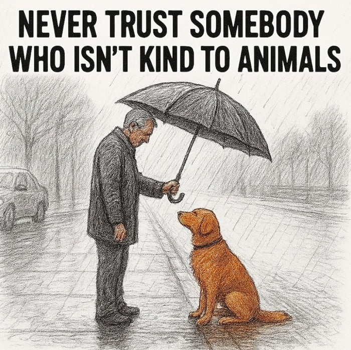 NEVER TRUST SOMEBODY WHO ISN'T KIND TO ANIMALS - 9GAG