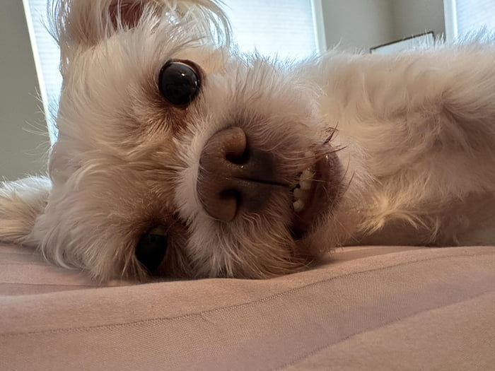 Just one brain cell at work - 9GAG