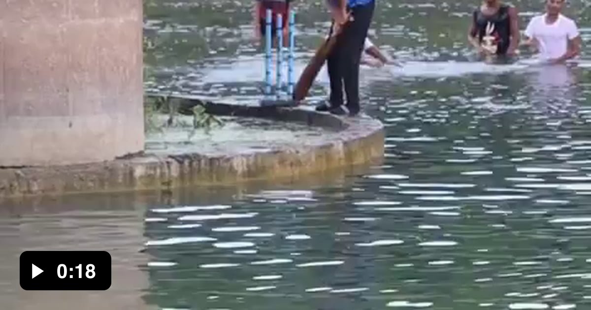 This is what dedication looks like, amazing catch. - 9GAG