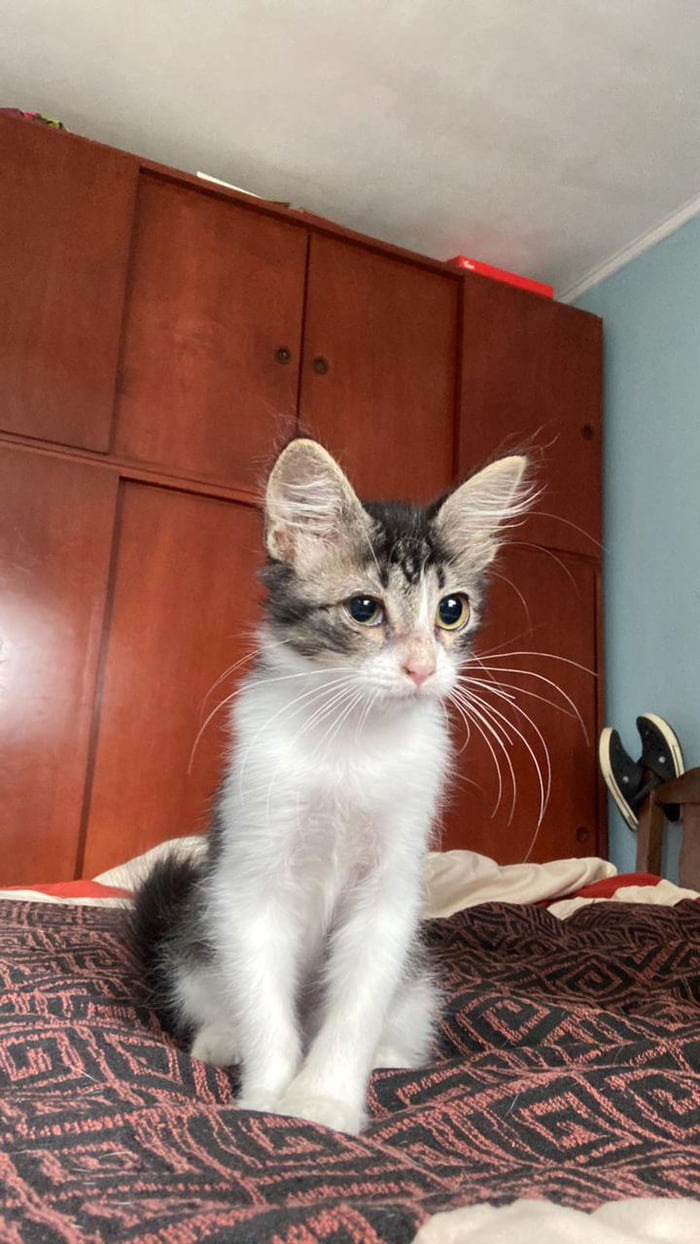 So small 🤍 - 9GAG