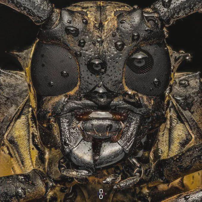 Longhorn the Smiling Clown - 9GAG