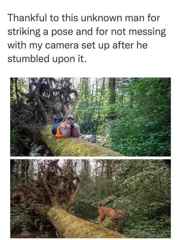 Such a chill guy - 9GAG