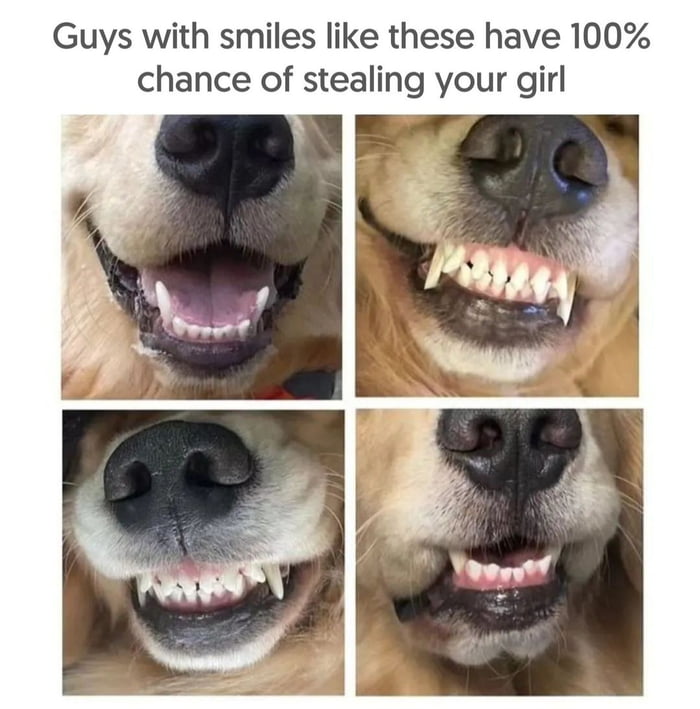 That smile. That damned smile. - 9GAG