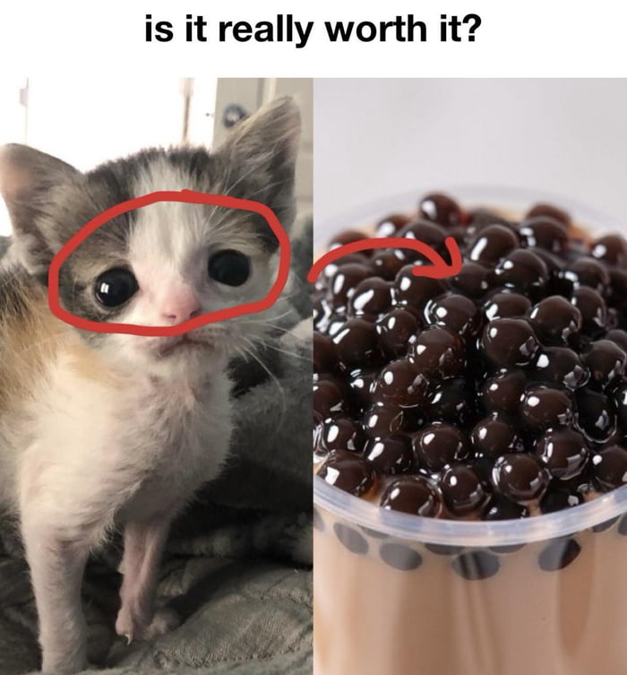 Is the boba worth it ?? - 9GAG
