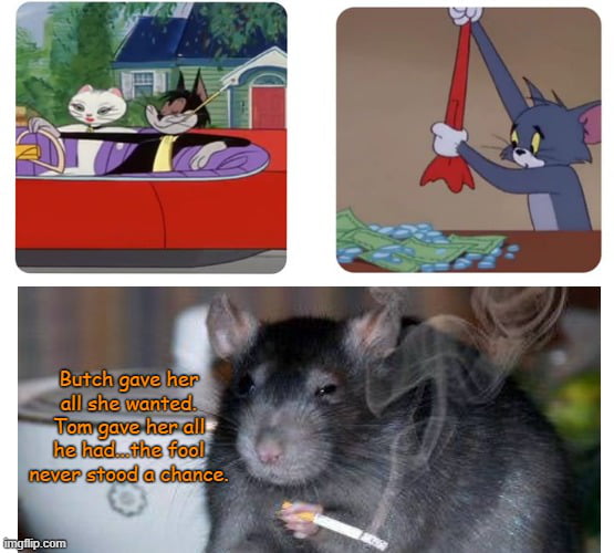 We were all Tom at some point in our lives - 9GAG