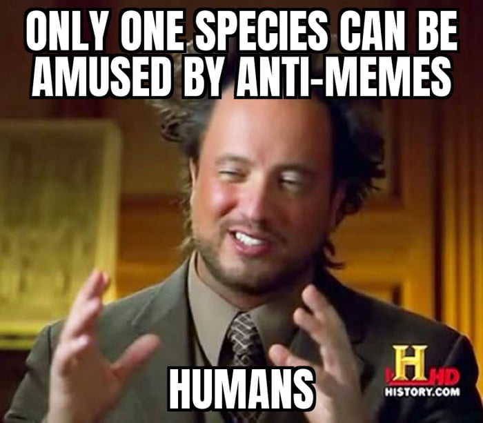 I chuckled at all the intentionally faulty memes the most recently ...