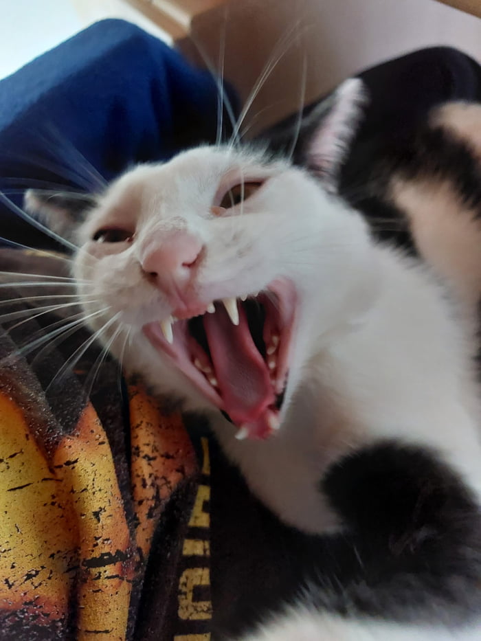 Almost Yamero - 9GAG