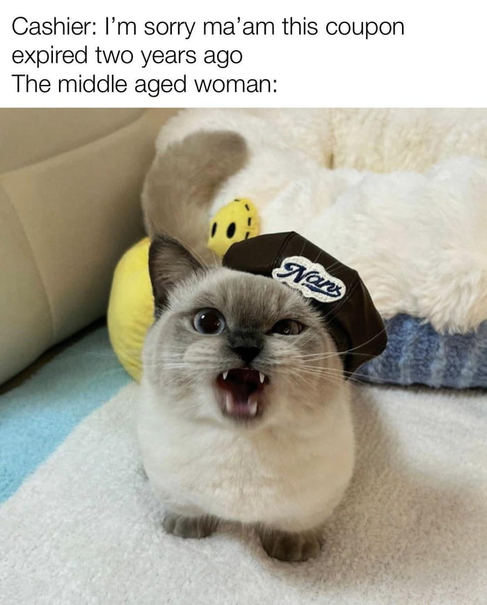 How dare u do ur job 😾 - 9GAG