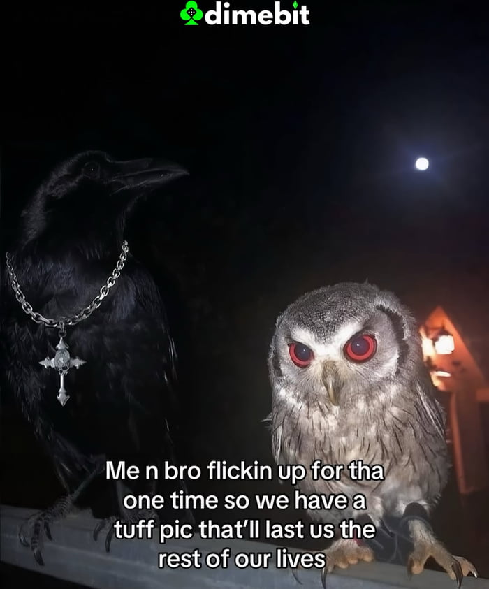 When you and the homie need that one legendary profile pic. - 9GAG