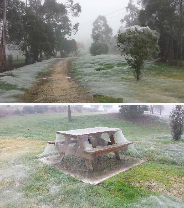 Ah, Winter In Downunder... That's Not Snow - 9GAG