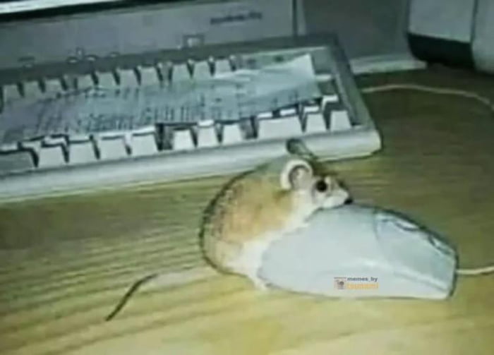 The original computer mouse - 9GAG