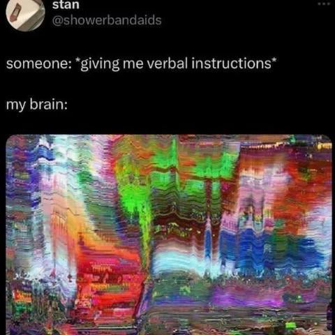 When the verbal instructions overload the system - 9GAG