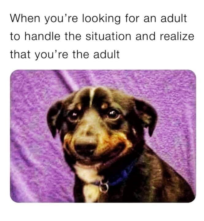 That moment you realize you are the one in charge now. - 9GAG