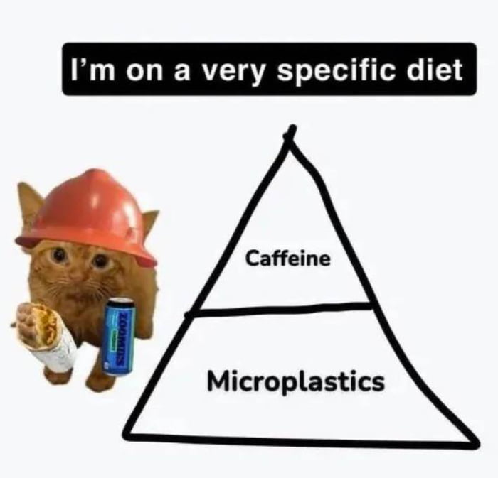 Just sticking to the essentials. - 9GAG