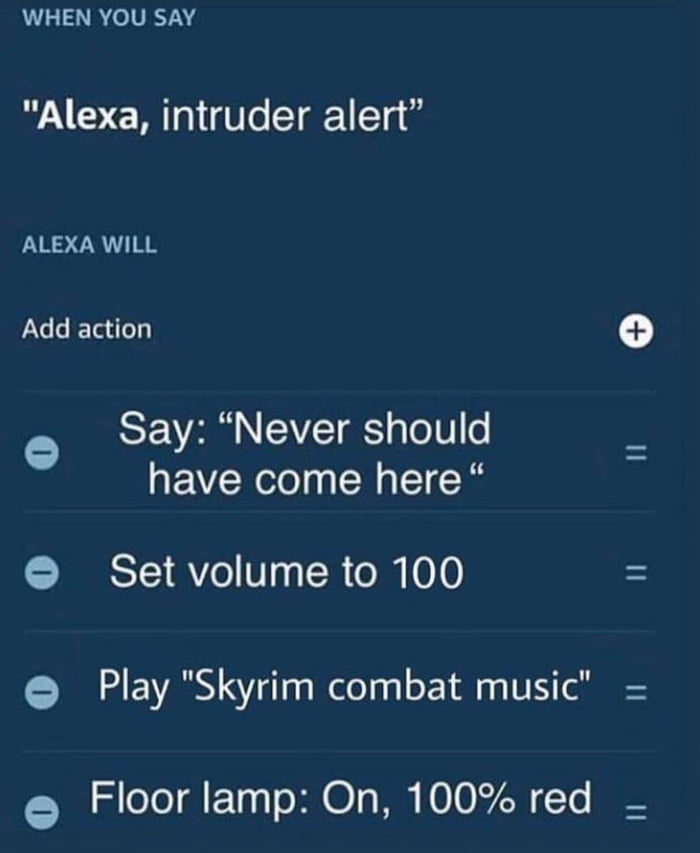 Alexa, activate intruder protocol: Skyrim edition. - 9GAG