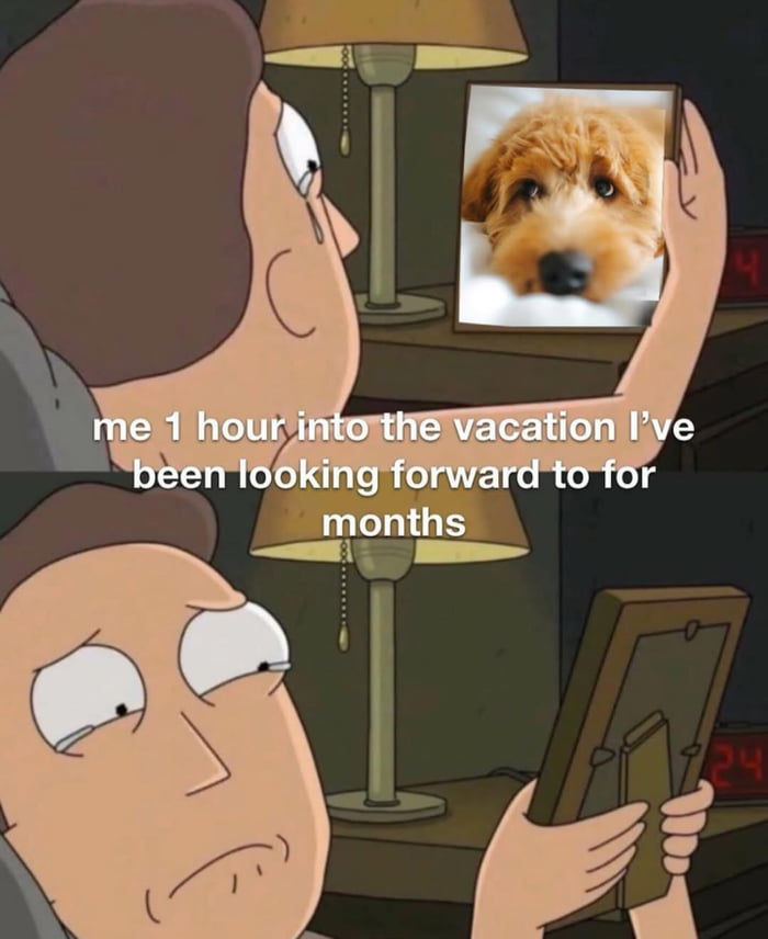 Already missing the furry friend. - 9GAG