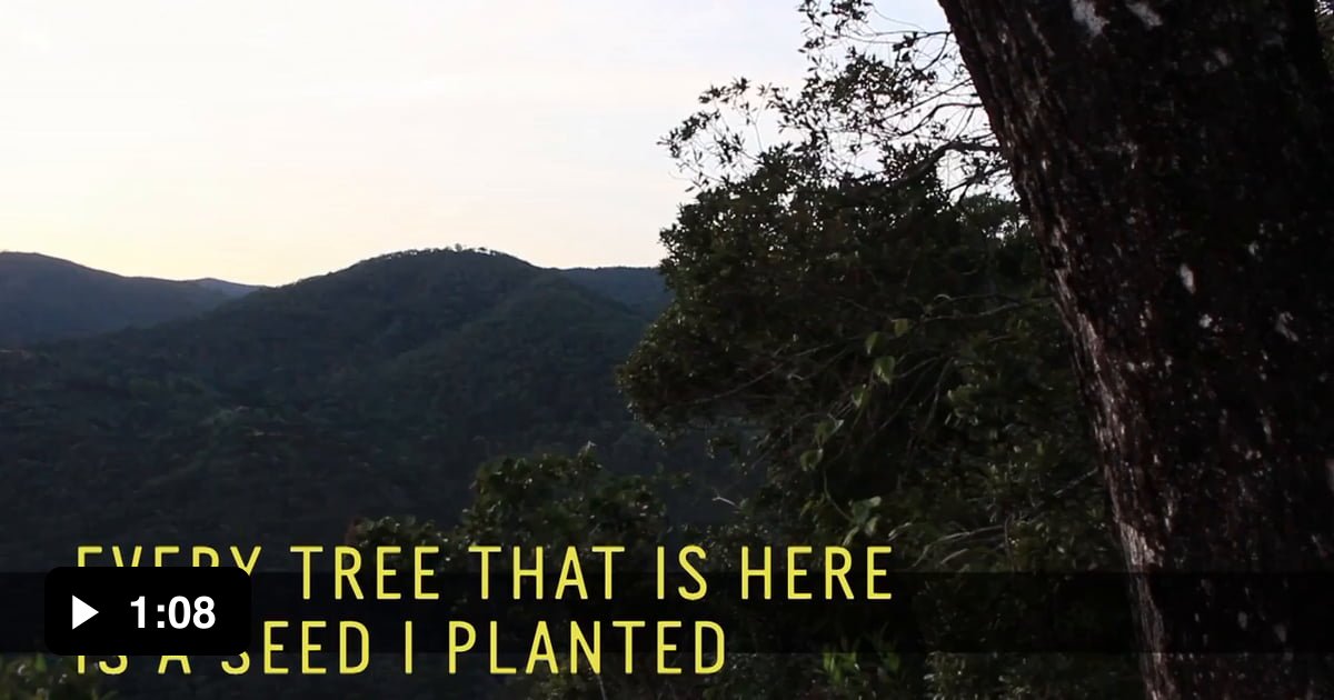 One man's incredible dedication brought a forest and its water sources back to life. - 9GAG