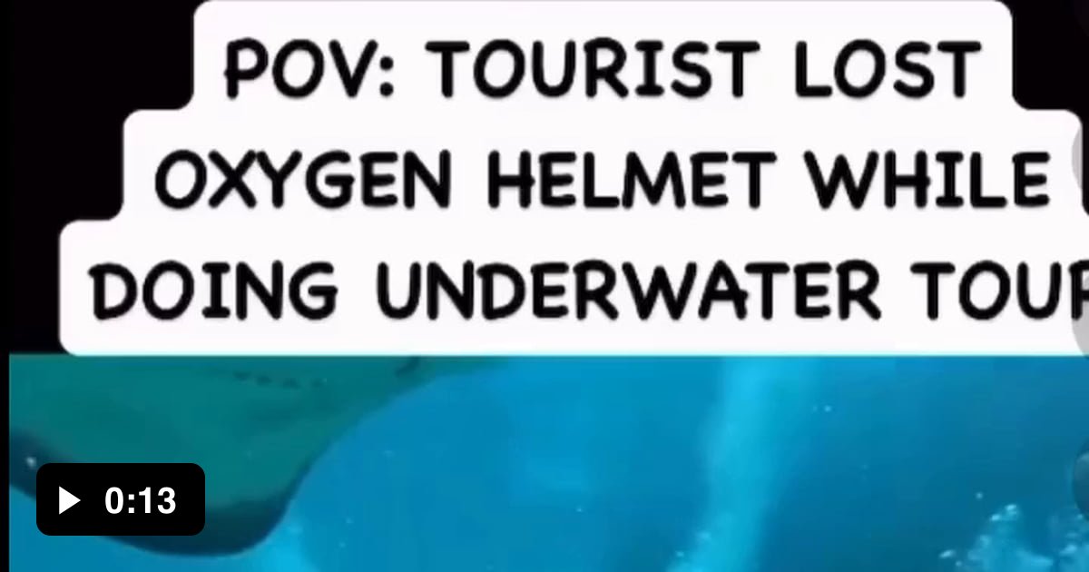 I bet her sugar daddy paid for this adventure dive. - 9GAG