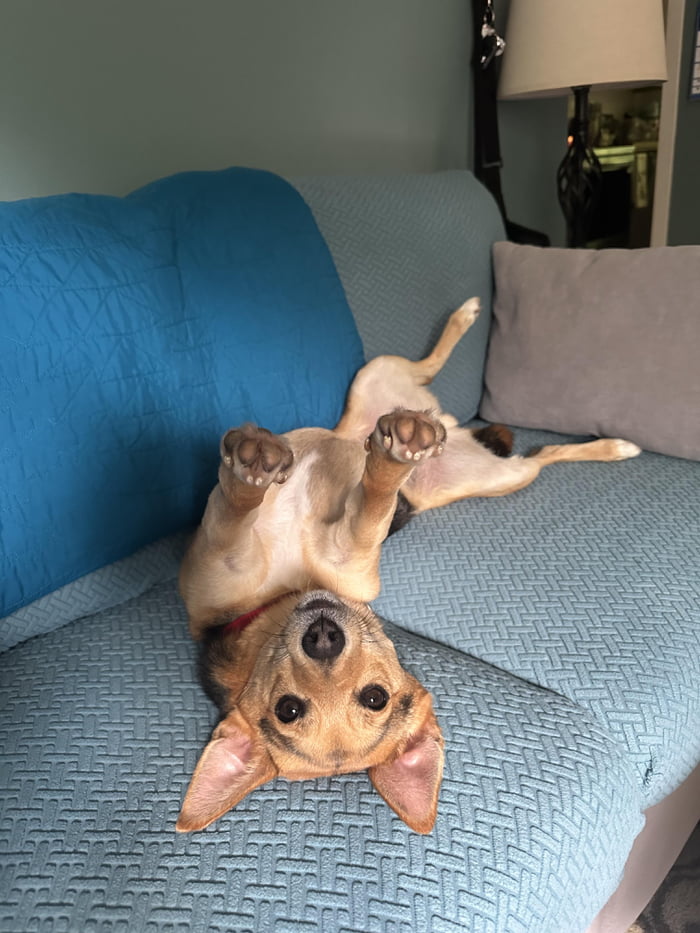 Silly Billy got his nails done today - 9GAG