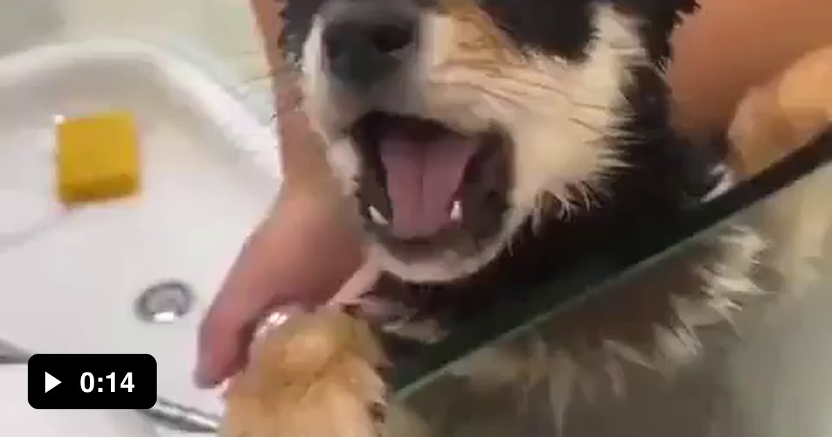 Someones being dramatic. - 9GAG