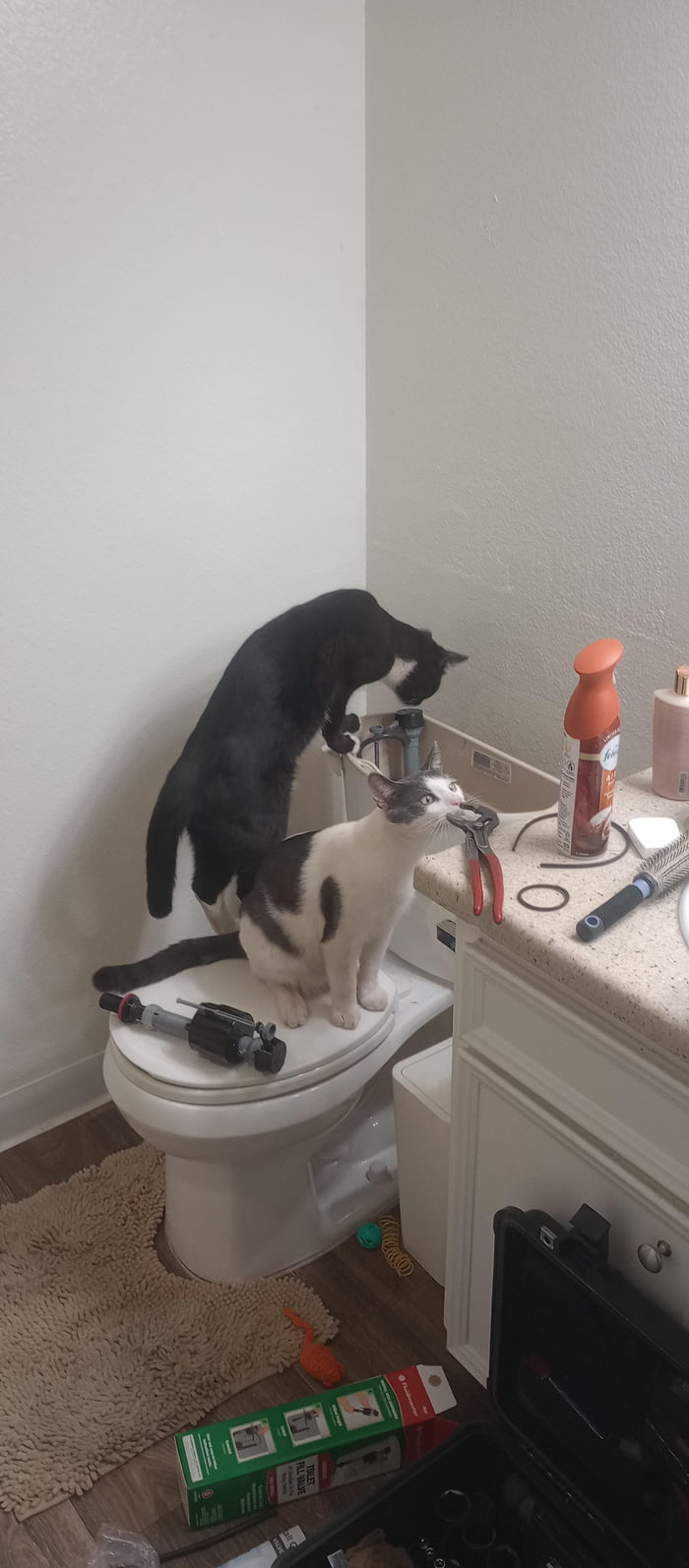 The plumber and his apprentice - 9GAG