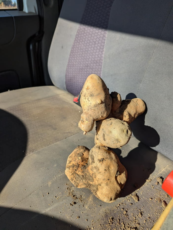 Of a potato - 9GAG