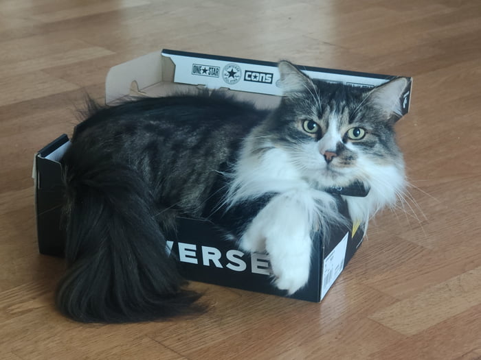 Hey Guys, it fits...so he sits - 9GAG