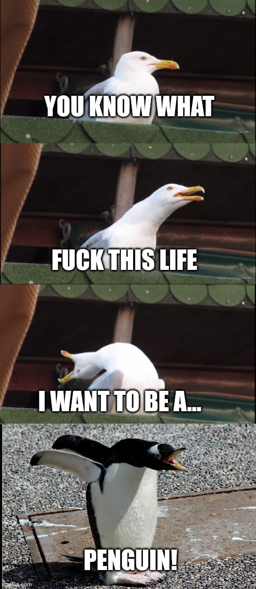 Flightless bird foe the win - 9GAG